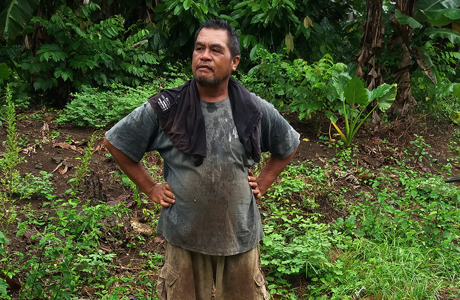 Samoa Observer | Kolio’s constant struggles