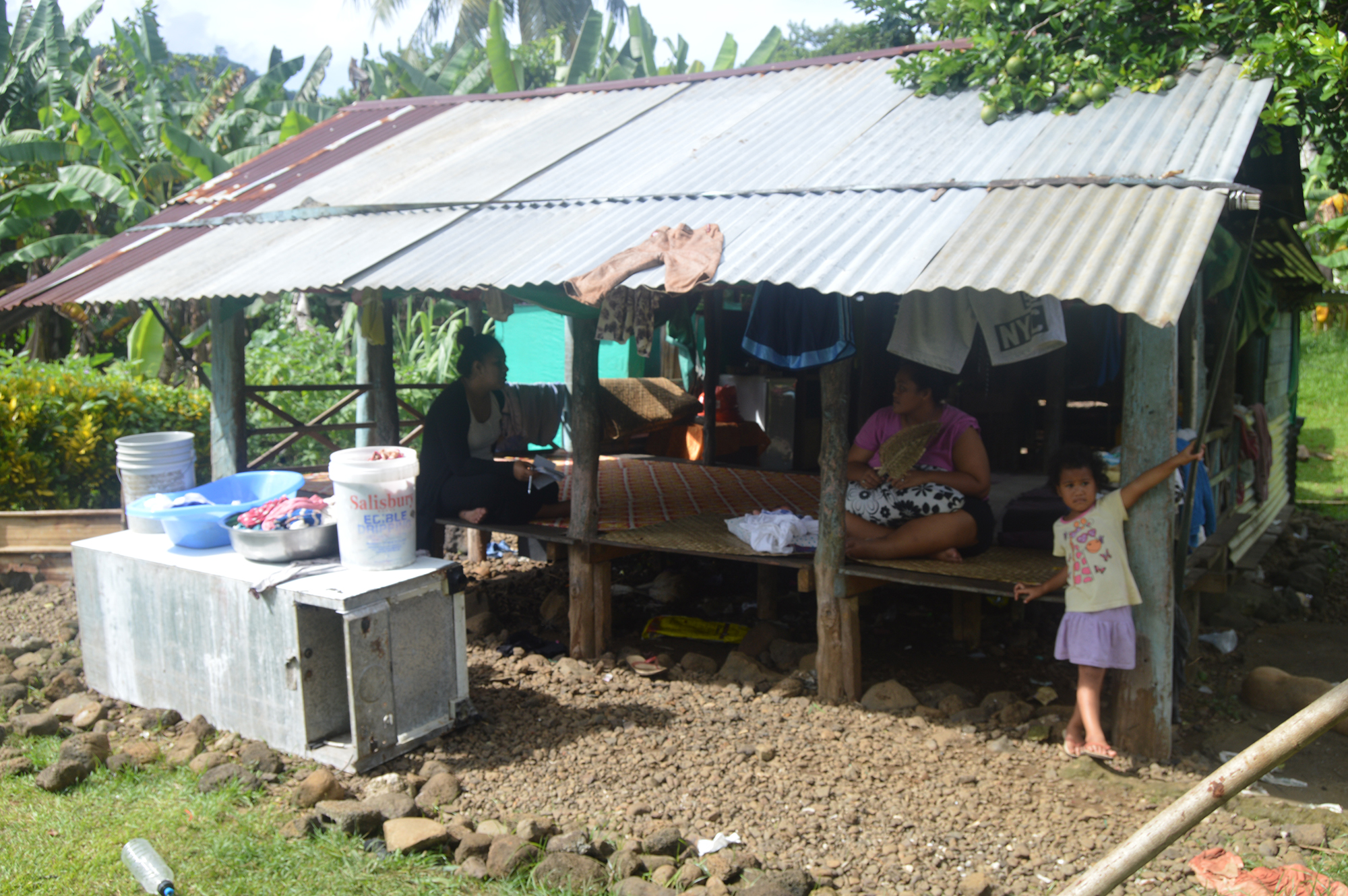 Samoa Observer | Aua nei gata ai le taumafai